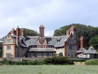 ‘Floats like a butterfly’: the flights of the remarkable butterfly ...